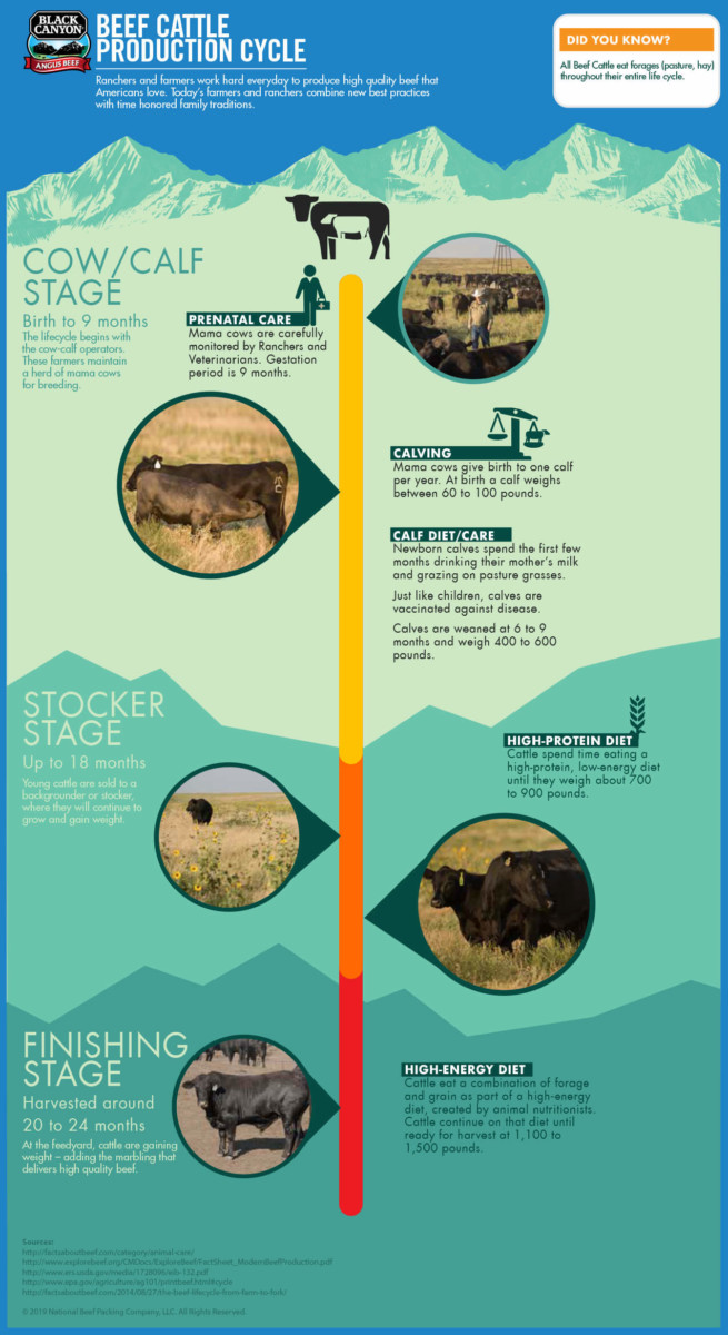 Infographics - NatureSource® Natural Beef